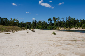 A Lower Sabine River kayak trip - A little known Texas gem.